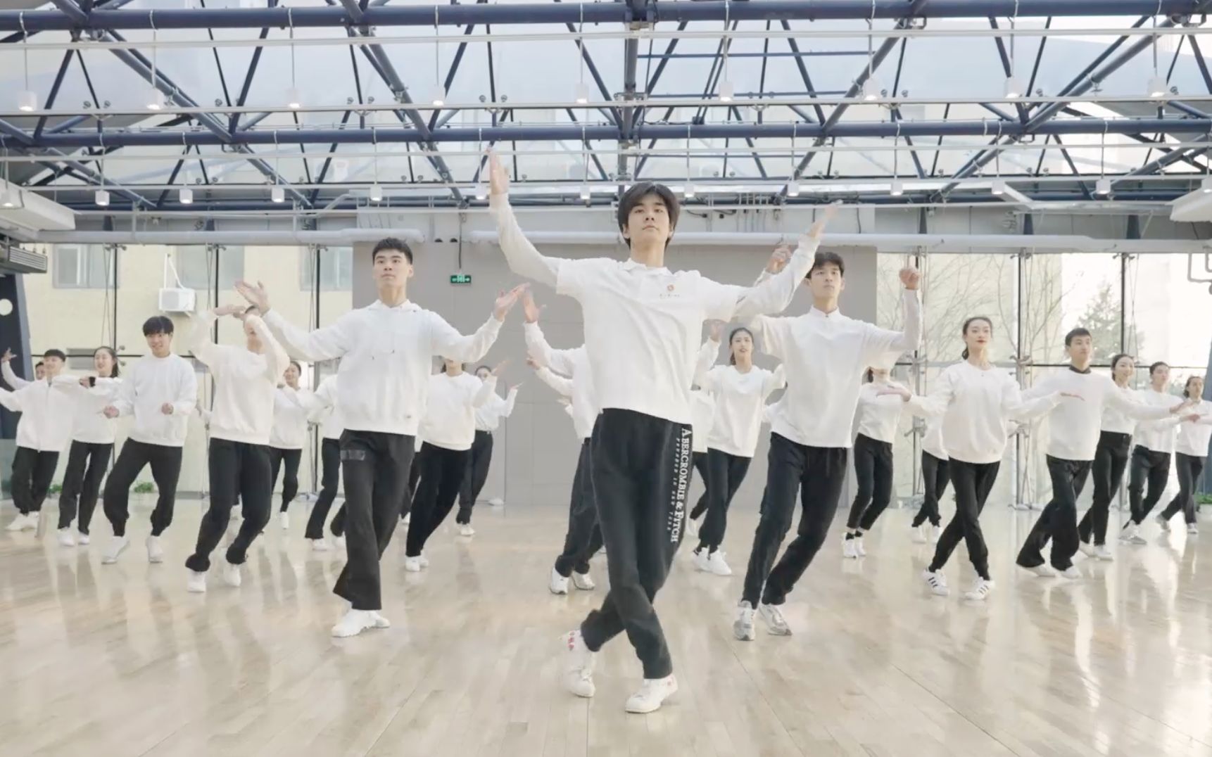 太飒了!和北舞【一起向未来】国标版手势舞