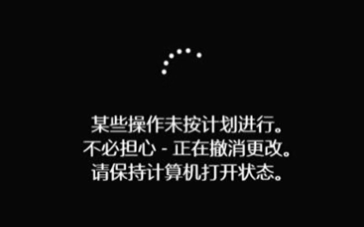 某些操作未按计划进行。不必担心-正在撤消更改。请保持计算机打开...