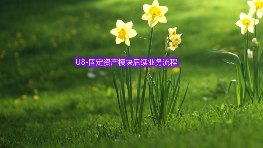 用友U8+13.0固定资产模块日常操作流程是怎样的?
