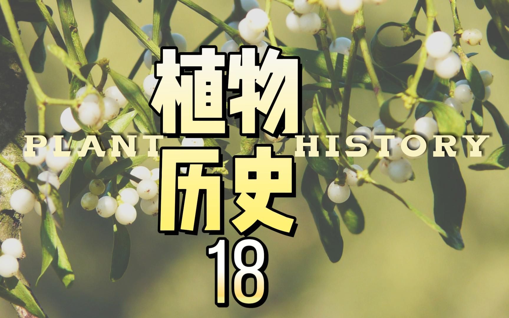 植物历史(十八):植物的适应——寄生植物