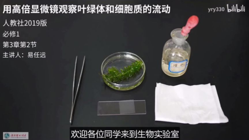 用高倍显微镜观察叶绿体和细胞质的流动#高中生物必修一 实验
