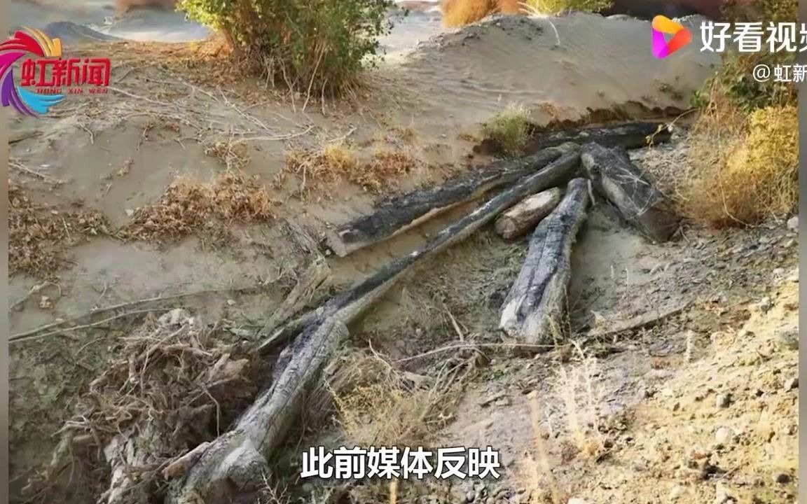 ...卫星显示42.98亩地破坏图斑?甘肃官方称未发现林地大面积减少情况】