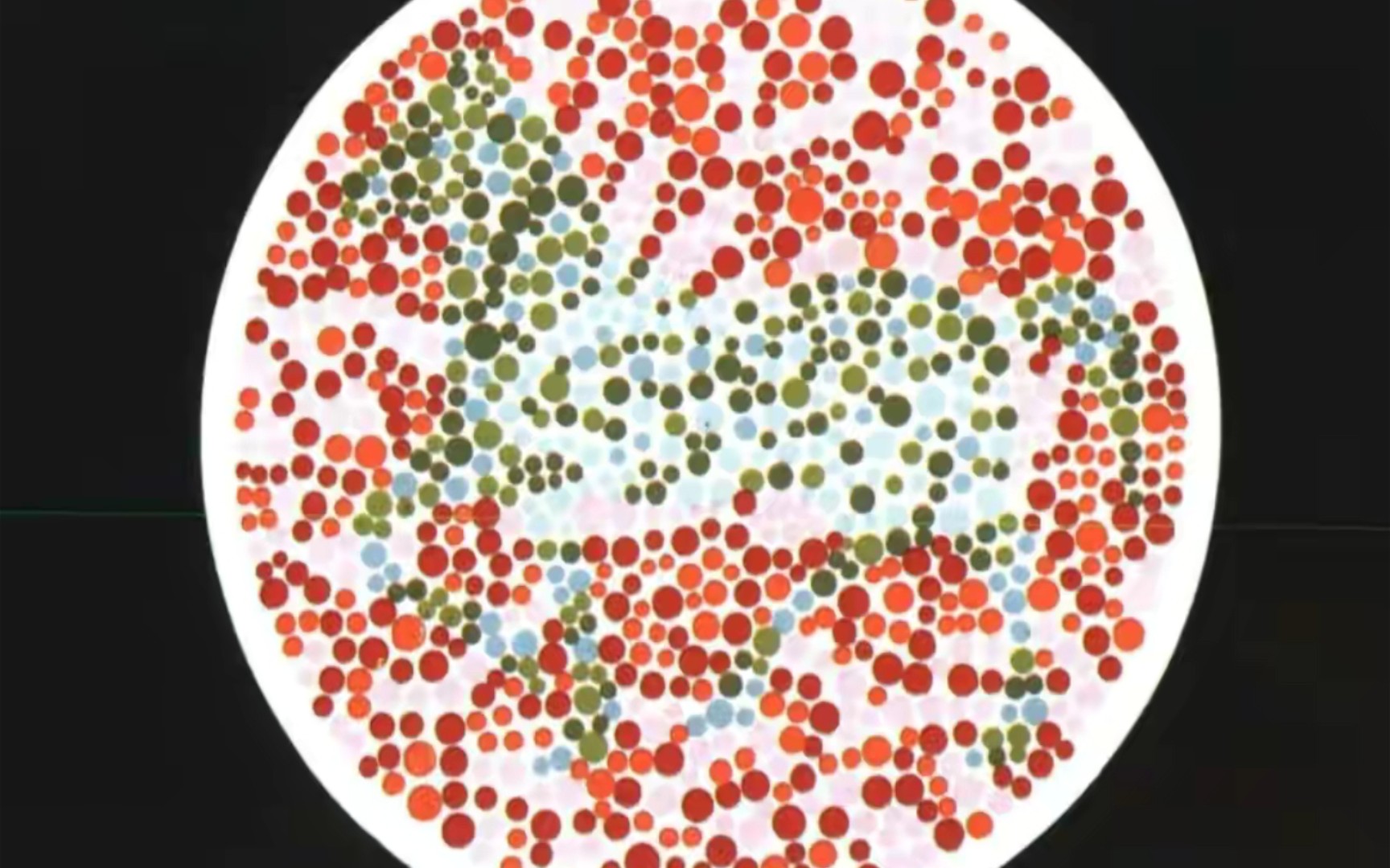 [数学学科被带头人]世界是什么样的,我们又要怎么去认识他