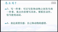 写一种小动物