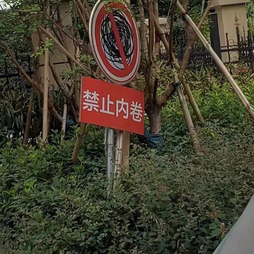 笛卡尔与公主殿下 