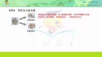 ...细胞的结构与物质跨膜运输 第4讲 细胞核——系统的控制中心(成品)