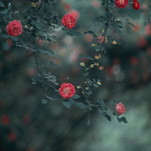 新久元智慧零碳设计 