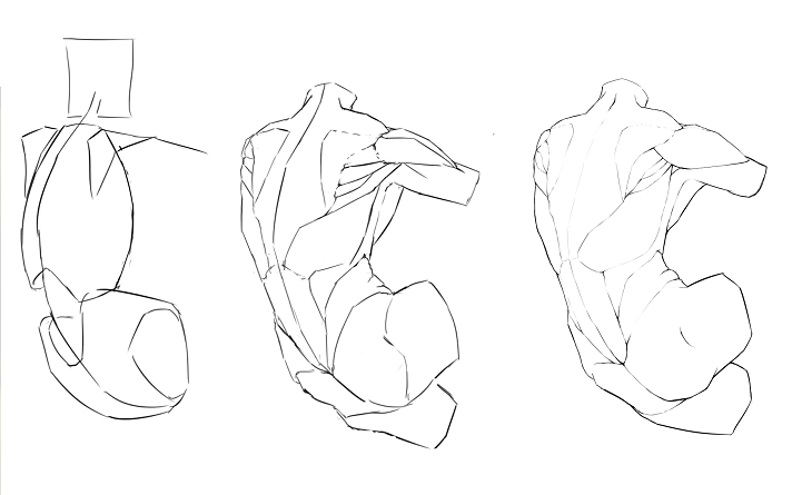 线条节奏和人体动态关系