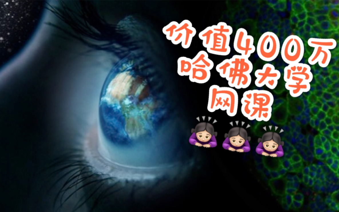 医学生|价值400万的哈佛大学课程是什么样的