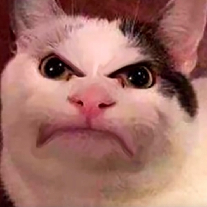 屑cat 