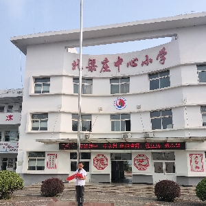 太阳花葵花 