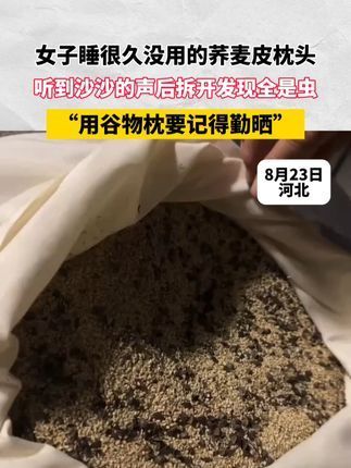 女子睡很久没用的荞麦皮枕头,听到沙沙的声后拆开发现全是虫,"用谷物...