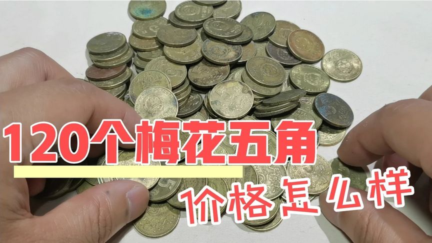 市场收到120个梅花五角硬币,一起来看看价格如何?