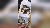 瞎充共享充电宝爆炸太恐怖了