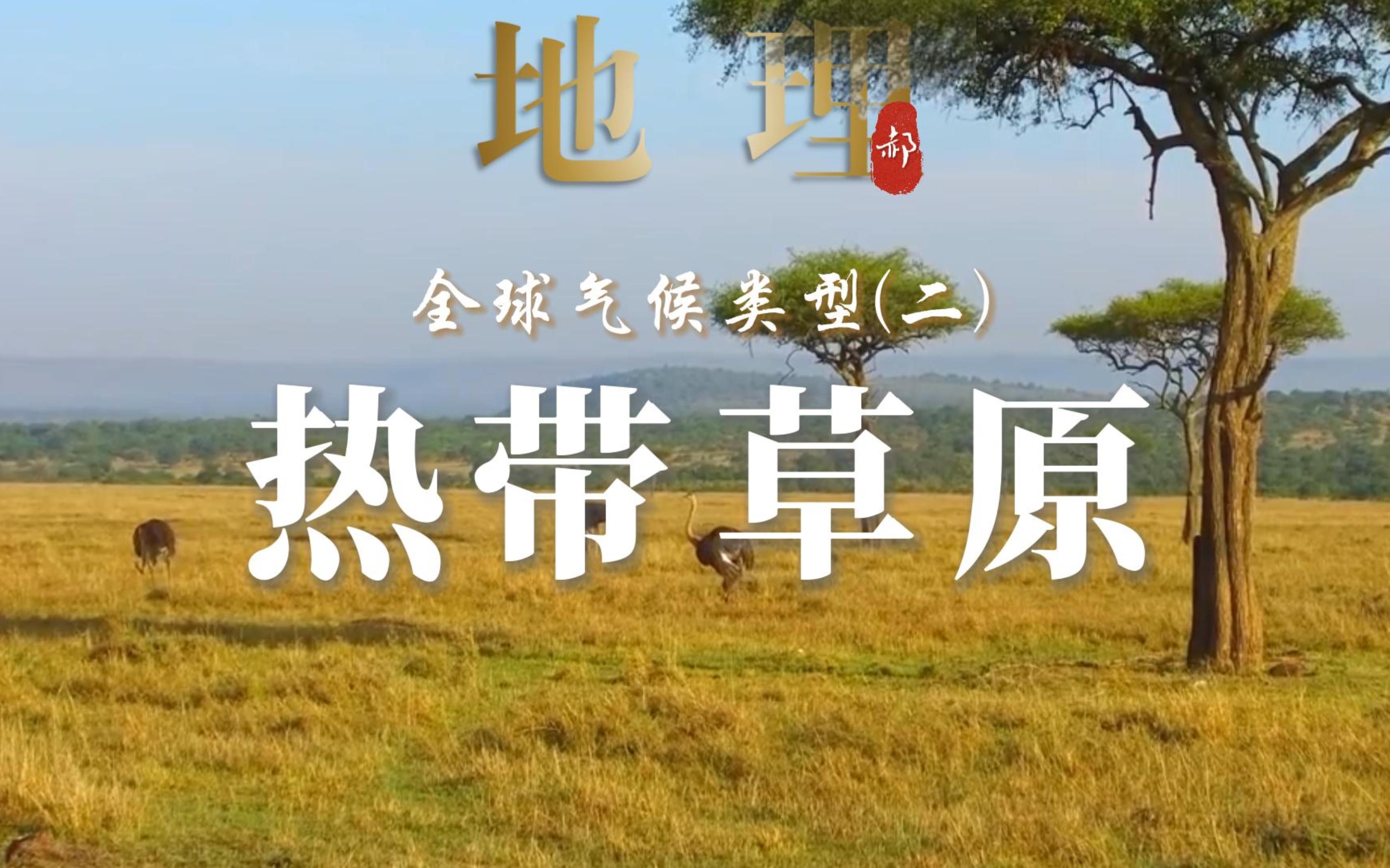 两分钟学会“热带草原气候”的知识点～欢迎来到辛巴的故乡!