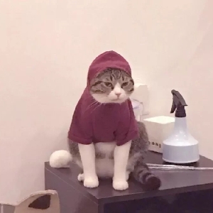 小乔偏不嫁周郎 