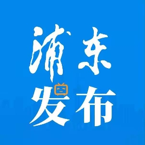 浦东发布 