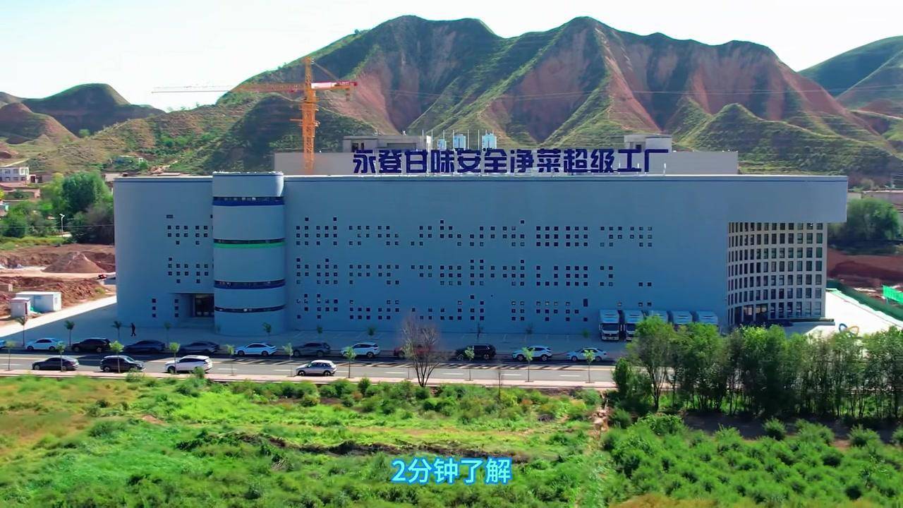 ...链#企事业单位食堂#蔬菜标准化加工(来源:永登甘味安全净菜超级工厂)