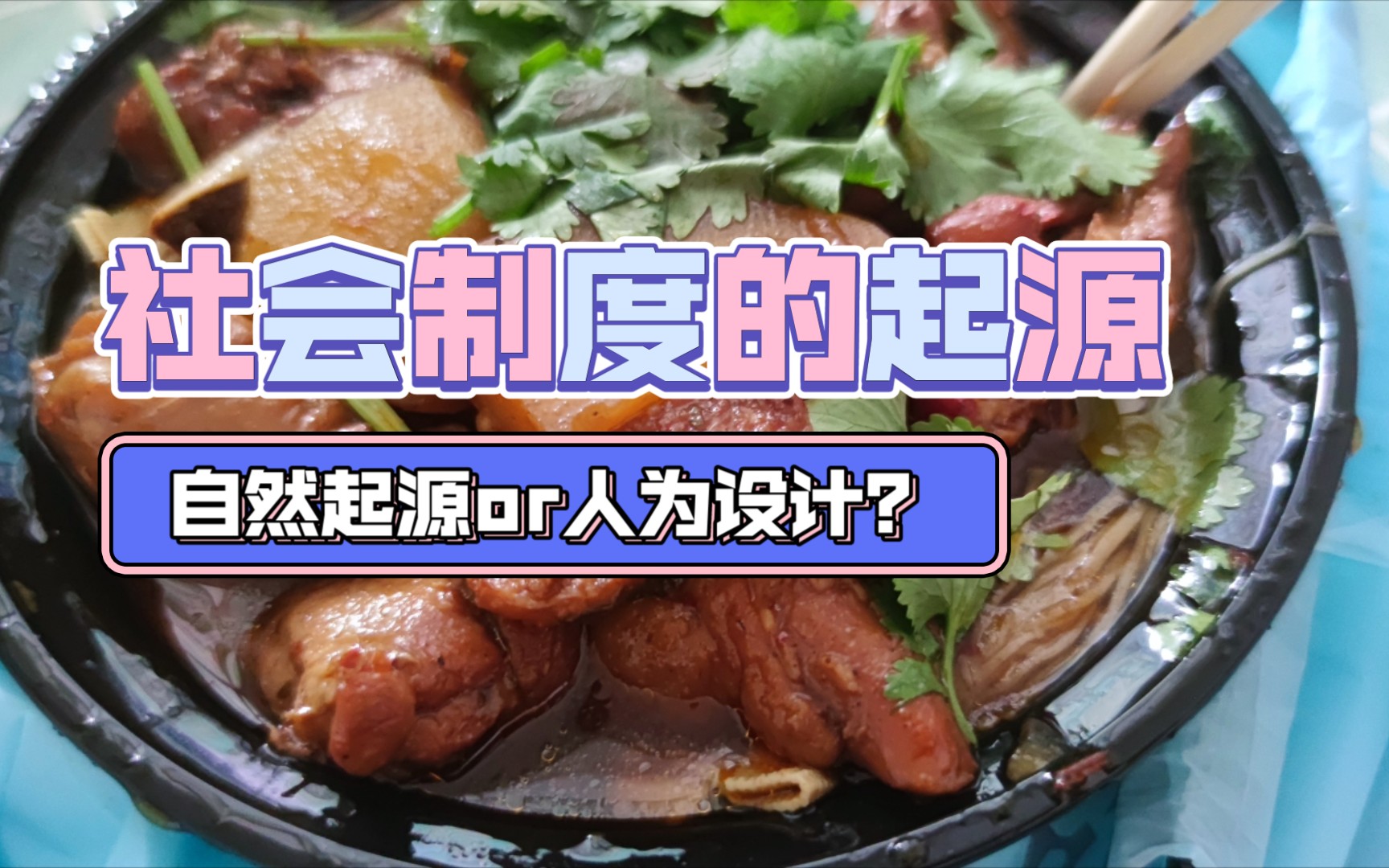 社会制度的起源:自然起源OR人为设计?(王思斌《社会学教程》第九章...