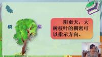 B2微课程设计与制作《要是你在野外迷了路》