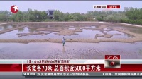 上海:金山农民制作5000平米“稻田画”[东方午新闻]