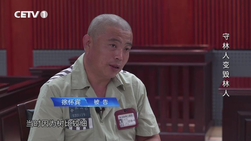 吉林:林业员非法砍伐林木,在服刑期间,竟再犯诈骗罪|法治天下