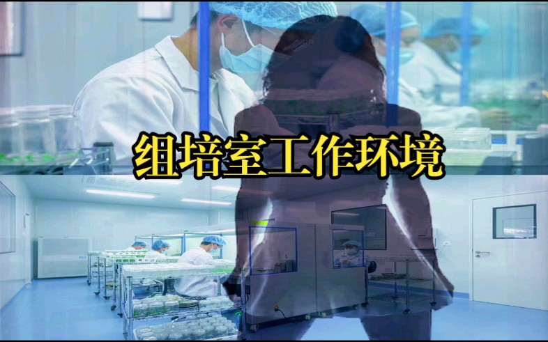 ...无菌培养室,组培洗瓶机,培养基灌装机,接种器械灭菌器,组培设备 组培架