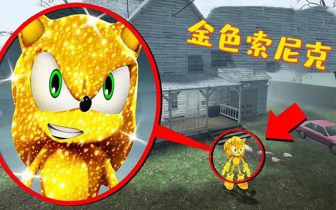 盖瑞模组:铁憨憨去表弟家玩游戏,却被一只金色索尼克攻击!