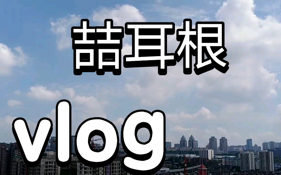 【vlog】随手记!