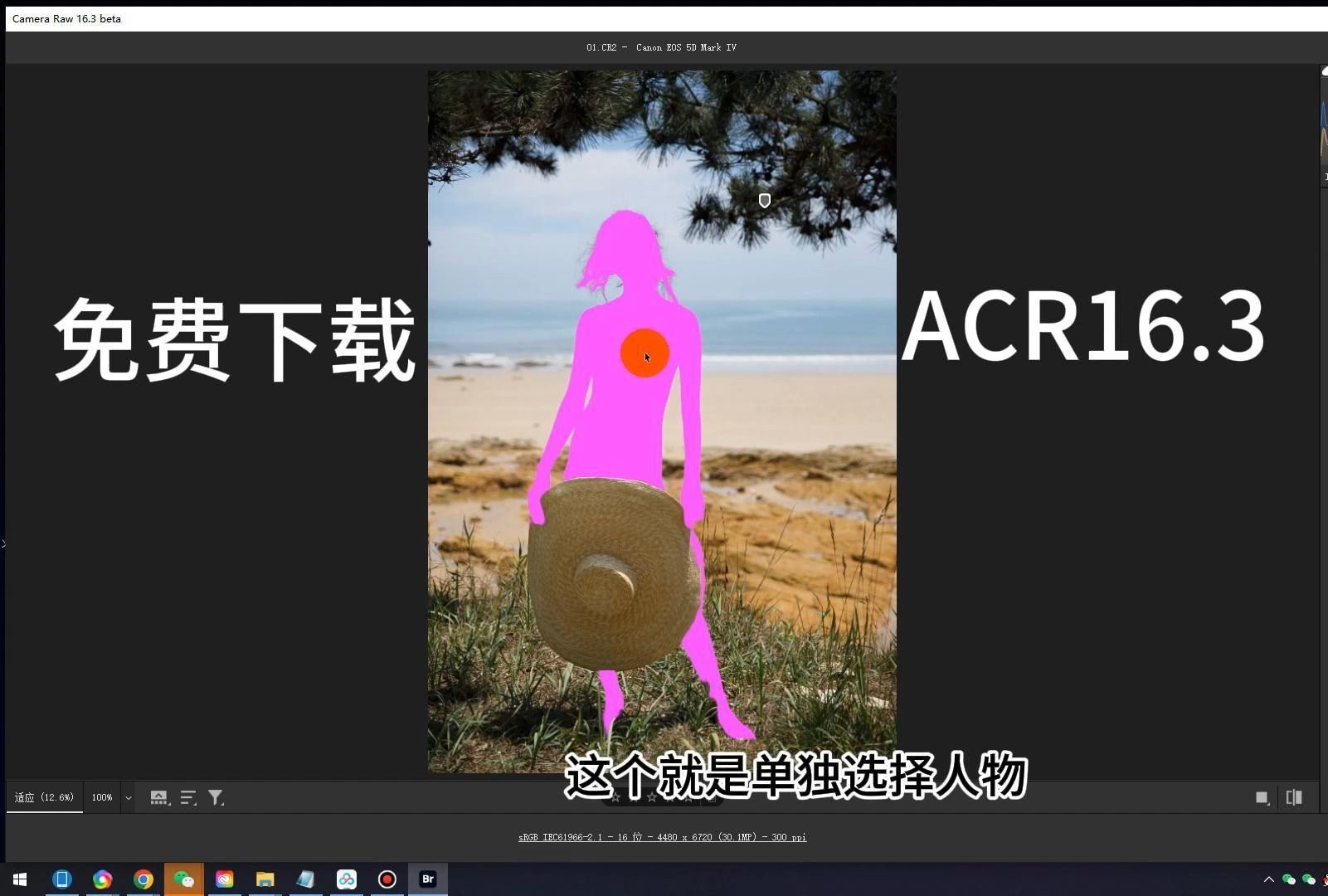 ...raw 16.3最新版ACR精准的调色修图转档,支持目前所有相机原始格式,...