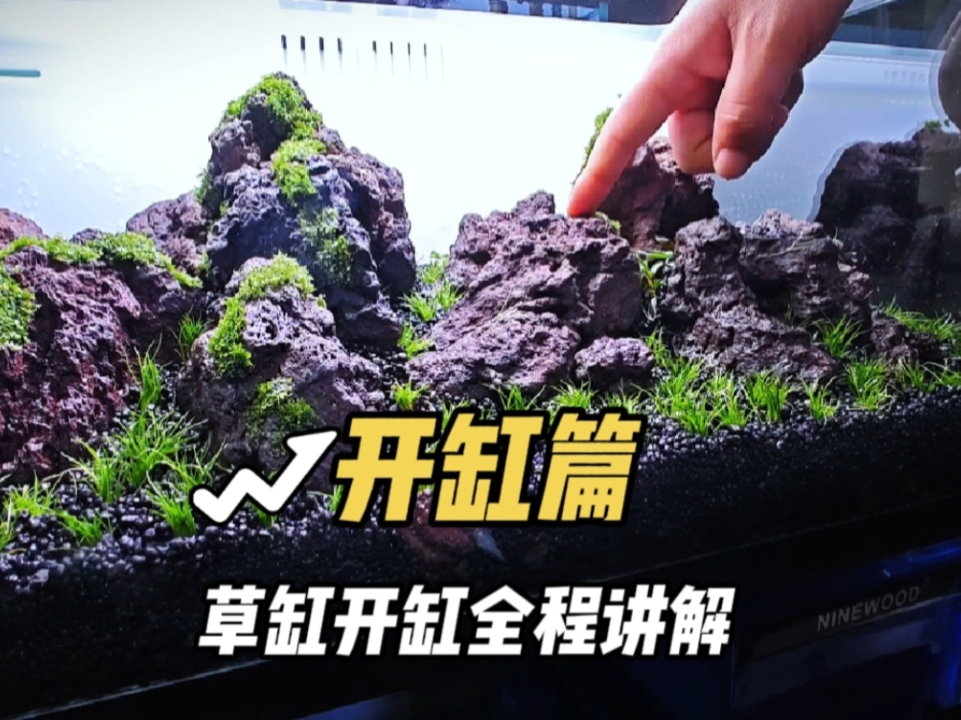 ...讲解开缸全过程,从鱼缸、灯具、过滤、素材、做景、搭配水草、养殖.