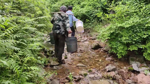 东北散养在树上的蚕,挑水去山上给它们打药,防治苍蝇来保收成