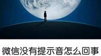 微信没有提示音是怎么回事