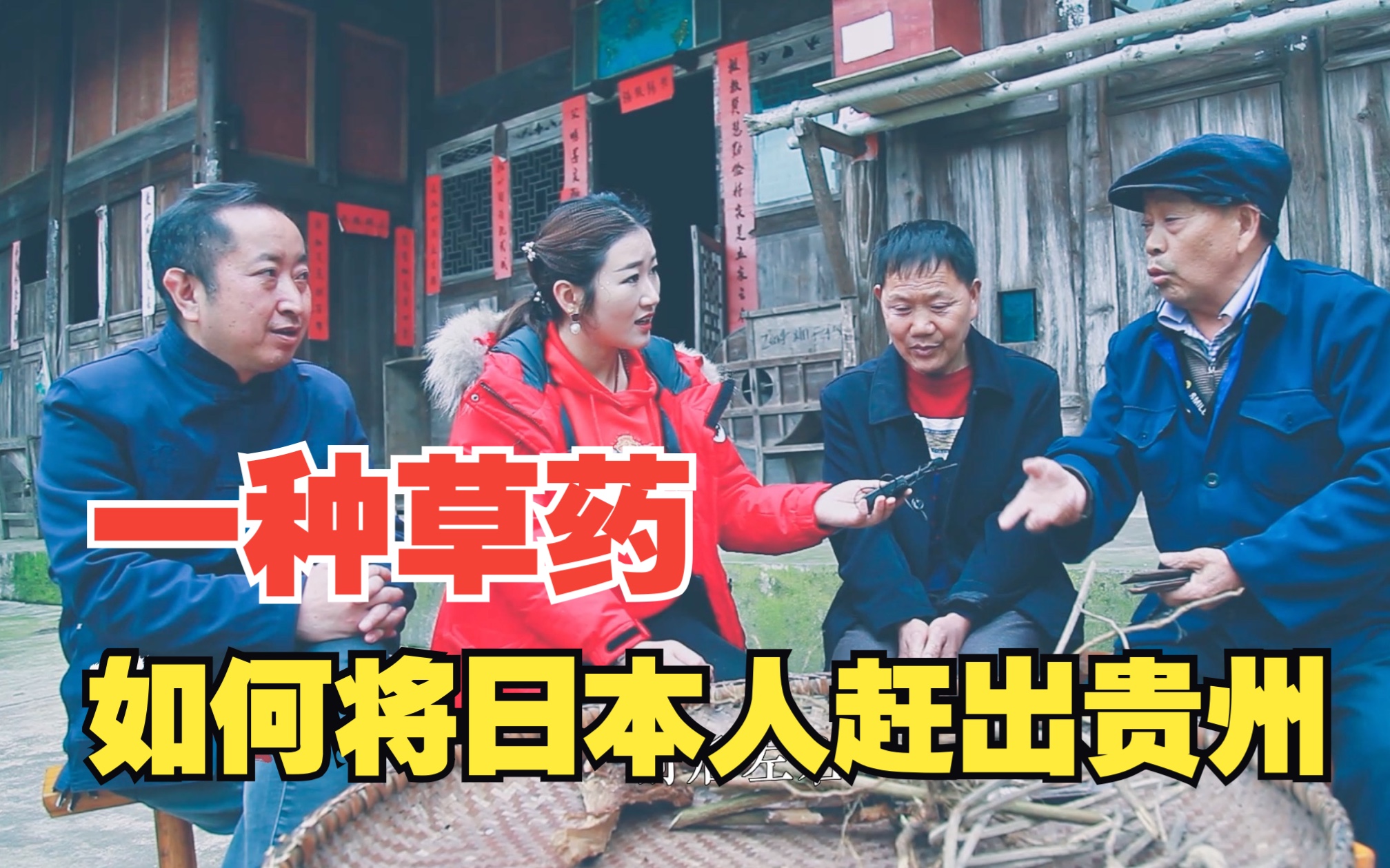 民间土家医一种滚筒疗法,如何治疗风湿类疾病?一种树皮有何独特