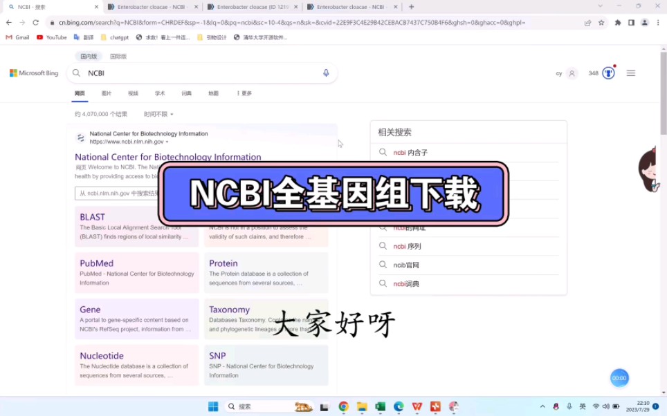 NCBI更新后怎么下载全基因组