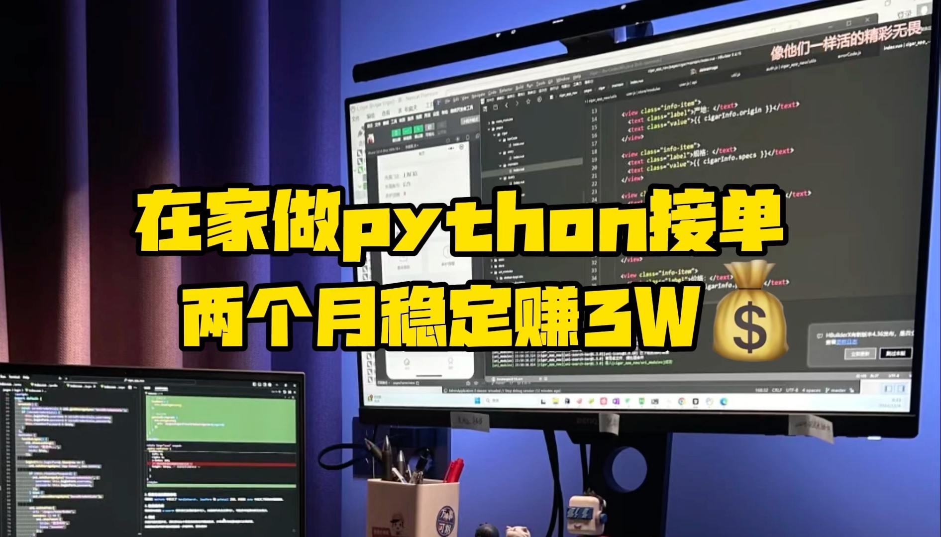 【Python副业项目】坚持做python接单,一台电脑,方法简单!分享我的接...