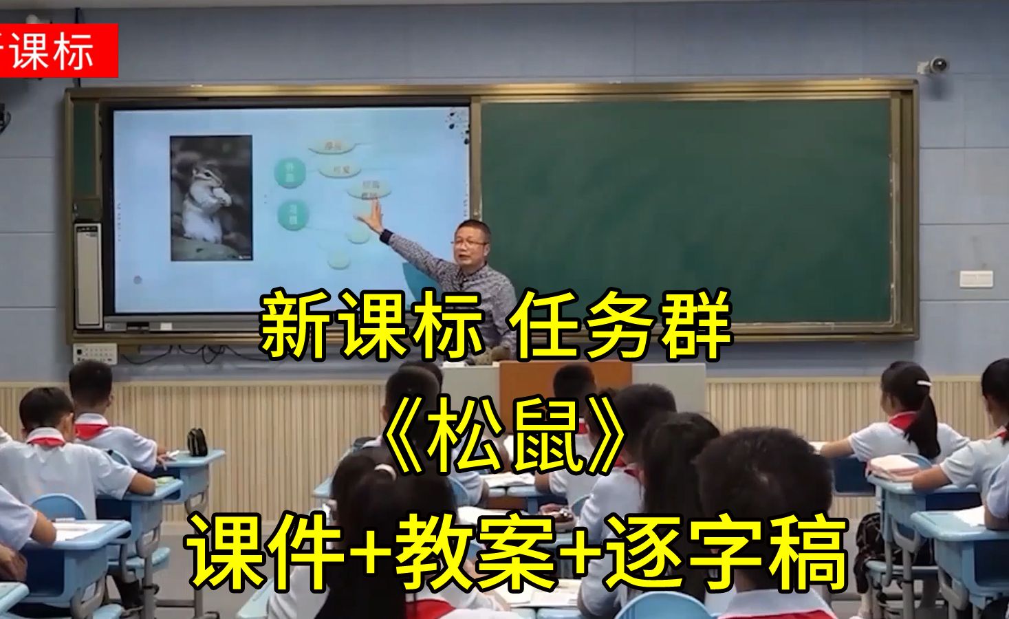 《松鼠》五年级语文上册【新课标任务群】公开课优质课(有课件教案...