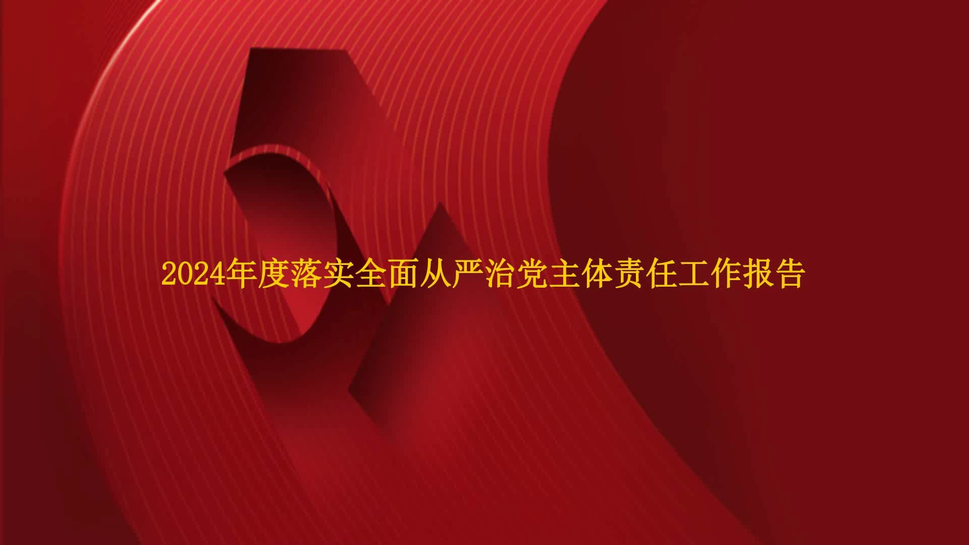 2024年度落实全面从严治党主体责任工作报告