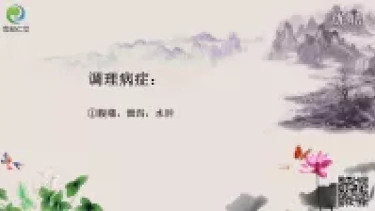 阴交穴位位置、作用、功效视频_仁艾贴艾灸养生