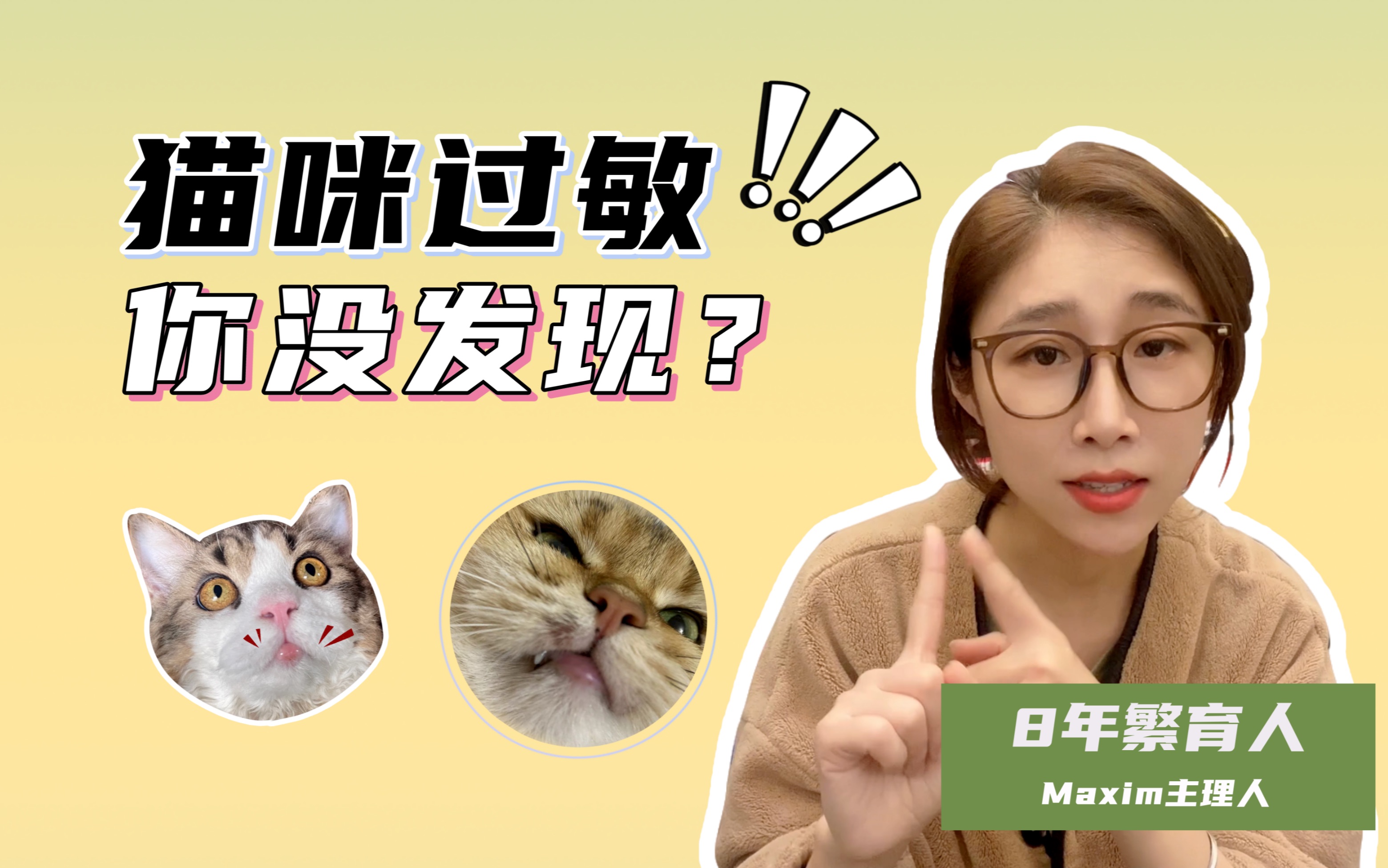 猫咪过敏了你没发现!?
