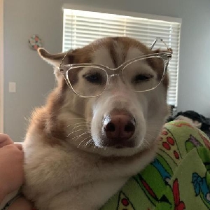 空城旧梦一场喜 