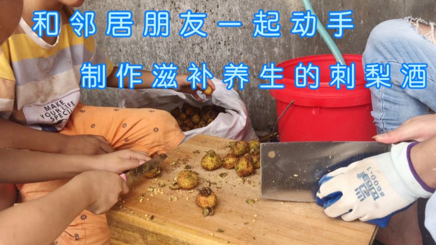 20斤新鲜刺梨和邻居一起动手制作泡酒,等待冬天到来一起分享美味