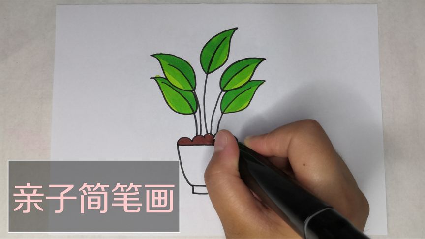 卡通盆栽小树简笔画教程,只需简单几步就完成,画完简单又好看