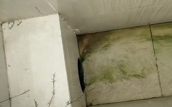 医院的水干净了,大家心里也就放心了!达泽环保医疗污水处理设备守护...