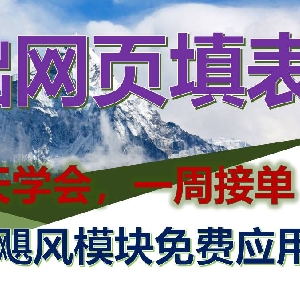 飓风网页填表 