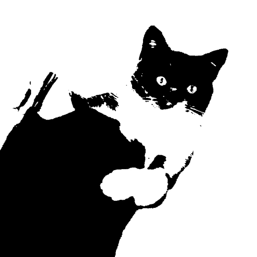 爱看电影的老猫儿 