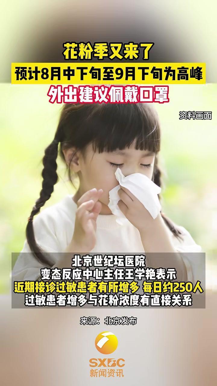 花粉季又来了预计8月中下旬至9月下旬为高峰