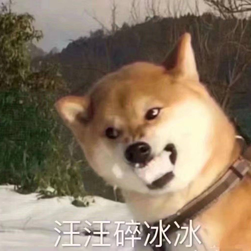 cx喵 