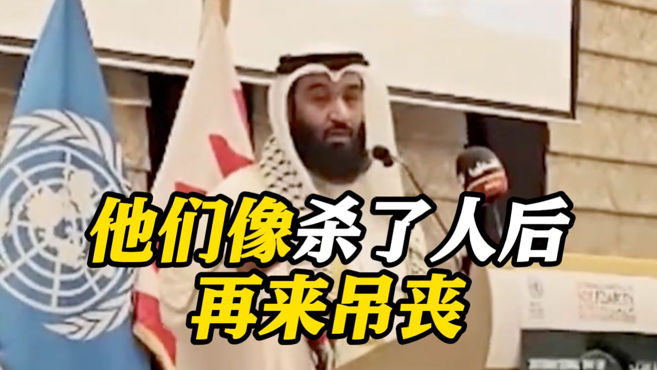 拒与美英法大使同台声援巴勒斯坦人民 巴林代表愤然离场