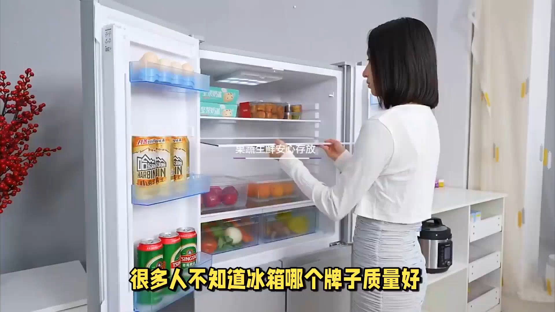 冰箱哪个牌子质量好?2024最建议买的4款冰箱,公认口碑不错